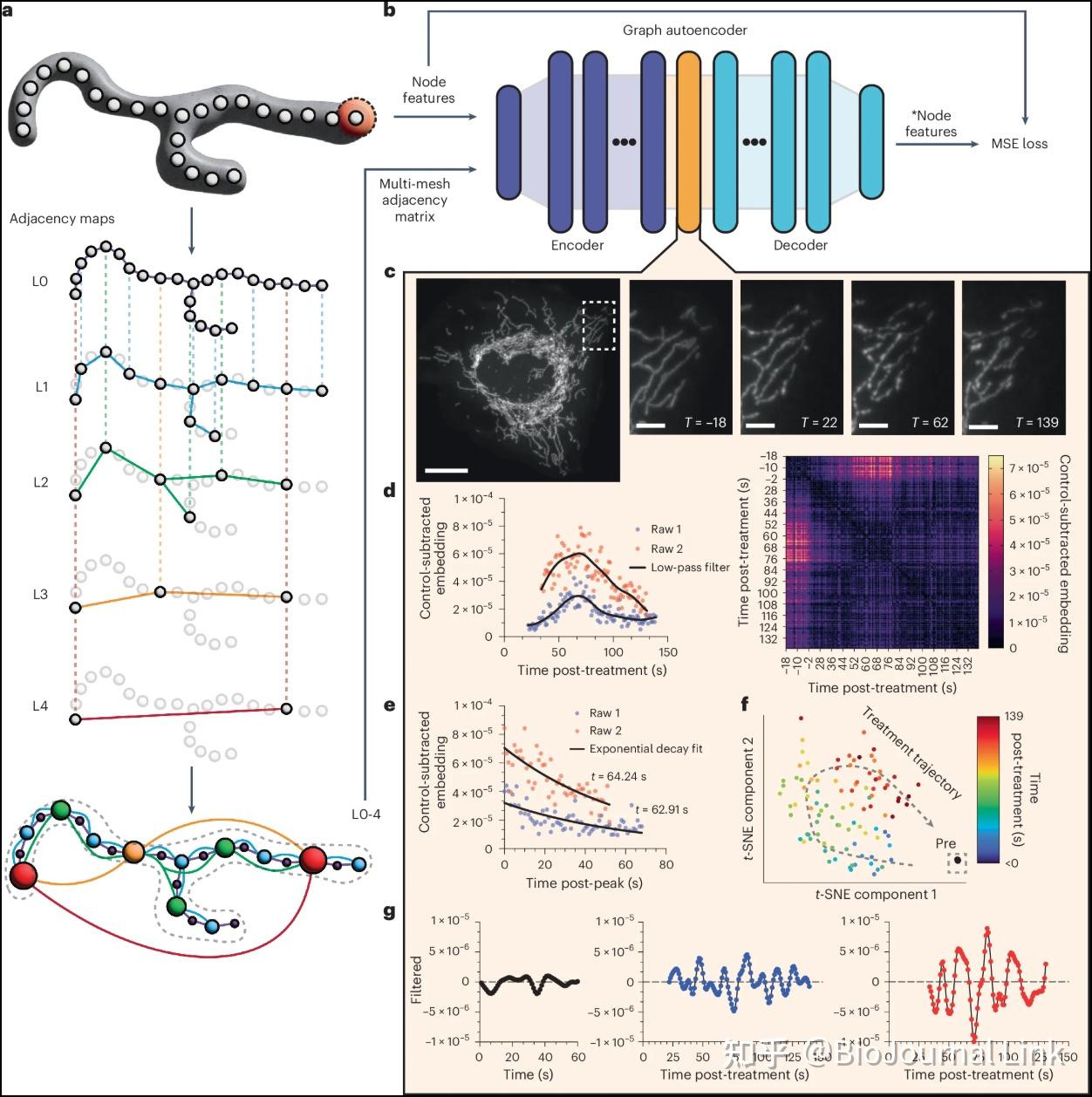 生物图像 | Nat.Methods | Nellie：自动化细胞器分割、跟踪和二维/三维活细胞显微镜下的层级特征提取 - 知乎