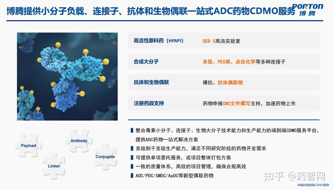 ADC药物研发的关键利器：CDMO在工艺优化中的作用 - 知乎