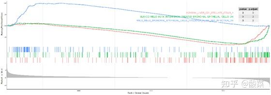 史上最全GSEA可视化教程，今天让你彻底搞懂GSEA！ - 知乎
