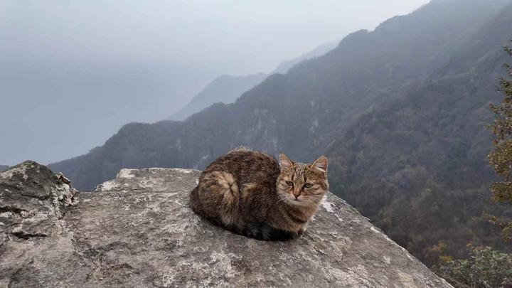 在Lua中，Metatable元表如何操作？ - 知乎