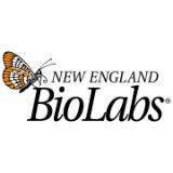 NEB 提供 RNA 合成完整解决方案 - 知乎