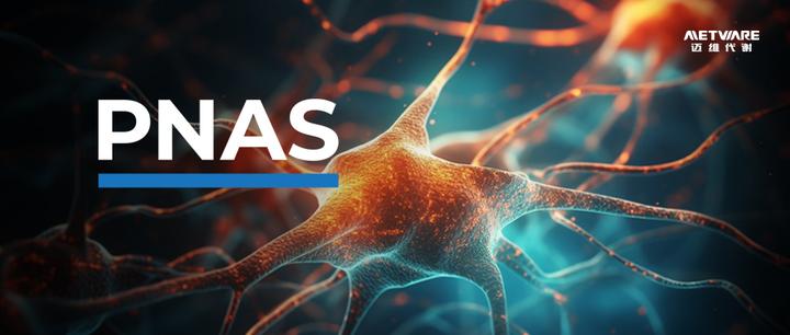 PNAS：单细胞代谢质谱实现活体神经元发育过程原位快速代谢监测 - 知乎