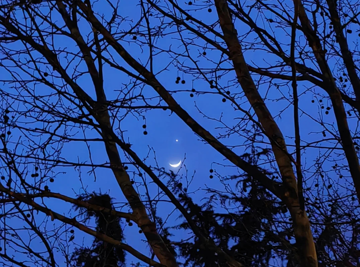 CALIPSO获取可视化图片 - 知乎