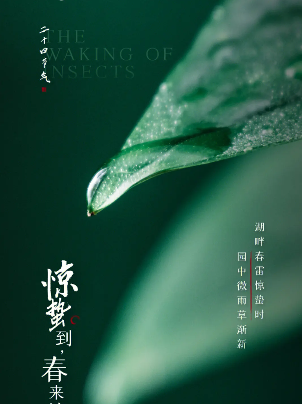Vuedraggable你还可以这样玩? 知乎