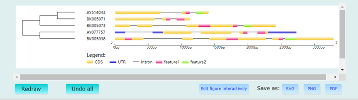 基因家族分析（5）绘制基因结构图 - 知乎