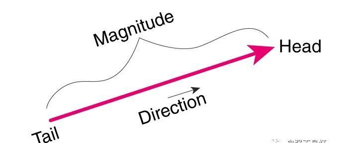 单词详解 | magnitude - 知乎