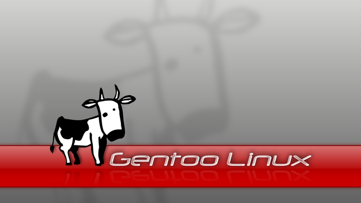Gentoo Linux系统清理 - 知乎