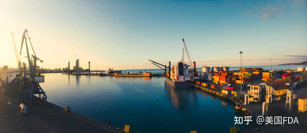 【法规科普】| 美国FDA进口警报＆DWPE - 知乎
