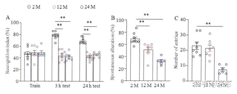 C57老龄鼠老年鼠表型及其详细数据！最新出炉 - 知乎