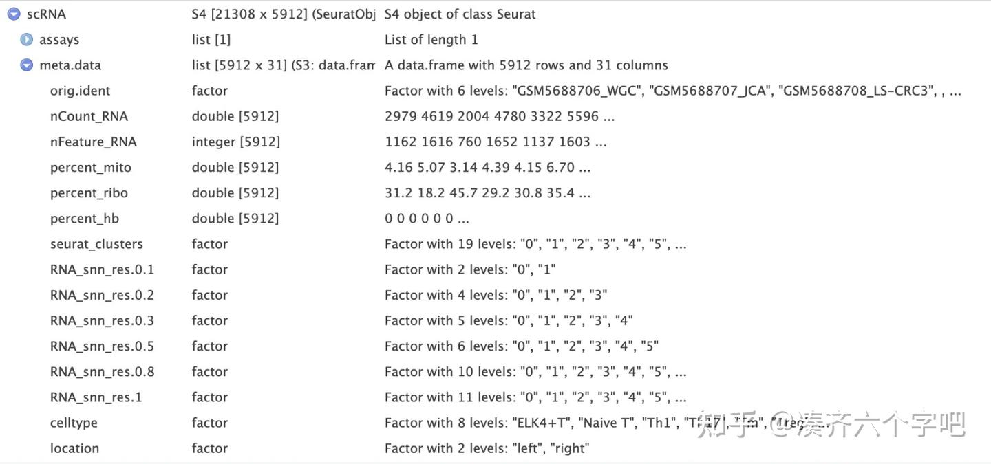 Seurat和h5ad数据相互转化以及10X多样本数据整理和读取(Python) - 知乎