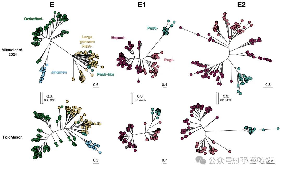 折叠匠人FoldMason：Foldseek系列新作，多结构比对 - 知乎
