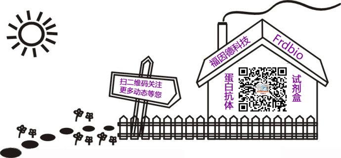 DH10B感受态细胞 - 知乎