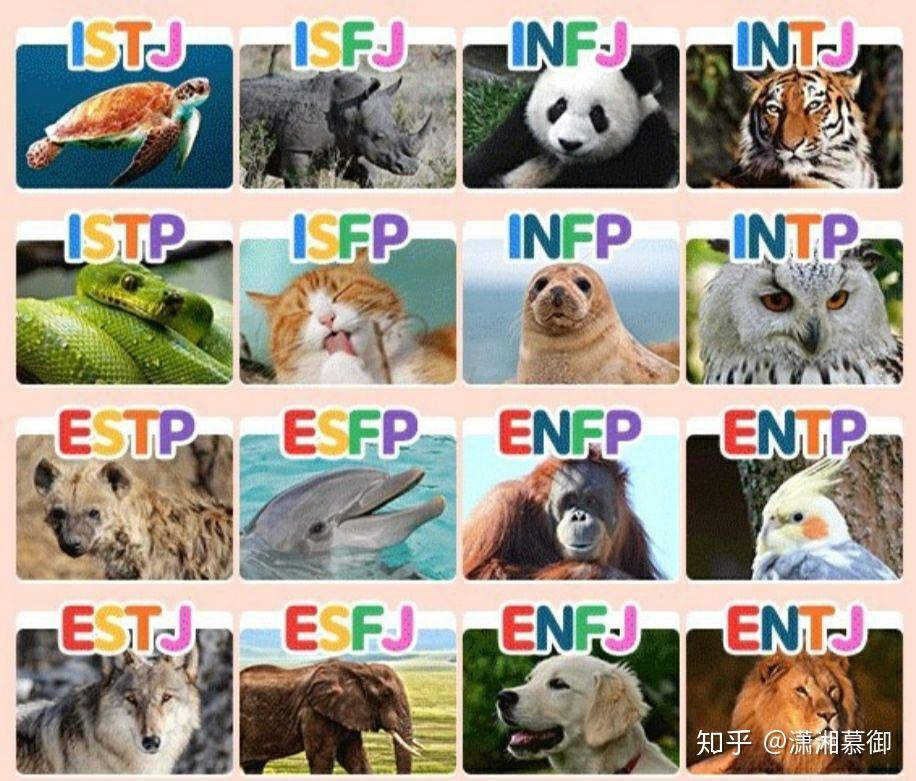 MBTI/九型的各位把自己形象化为动物，你们觉得自己是哪种动物？ - 知乎