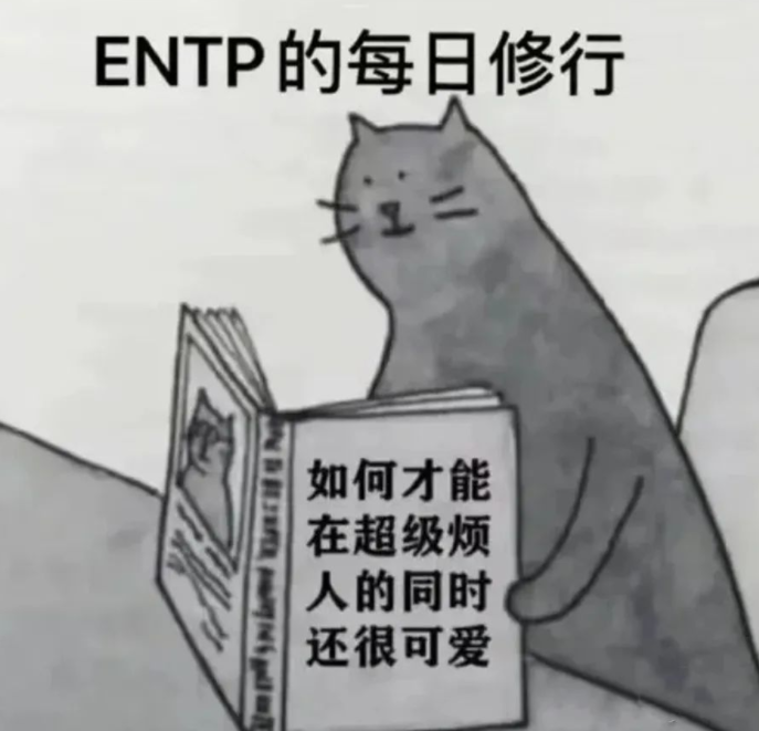 ENTP型人格透明睿智，品质优美。是很好的导师，ENTP的朋友真的可以给到你很多帮助 - 知乎