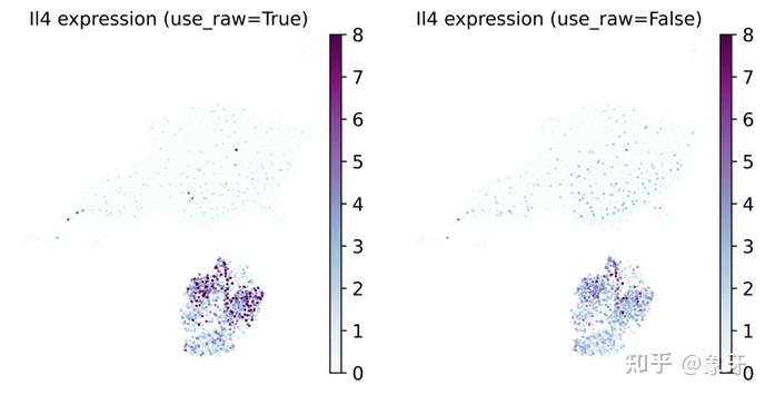 scanpy功能笔记 - 知乎