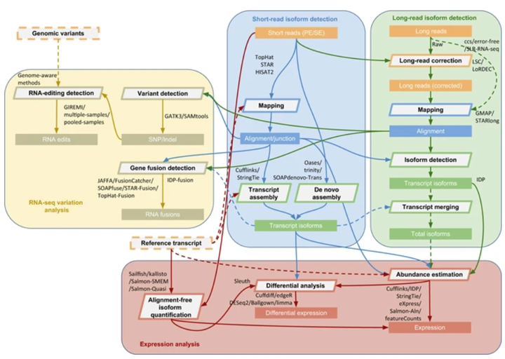 RNA-seq：（1）参考基因组 - 知乎