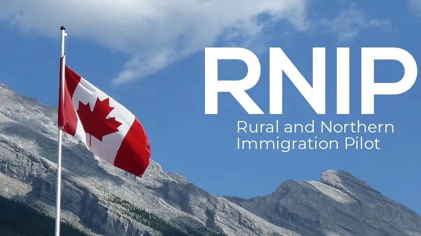 鱼与熊掌亦可兼得！RNIP项目让留学与移民两不误 - 知乎