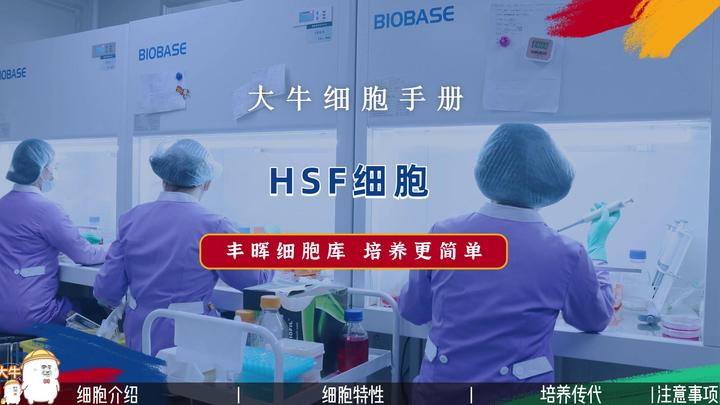 HSF细胞培养，人皮肤成纤维样细胞培养攻略-丰晖生物 - 知乎