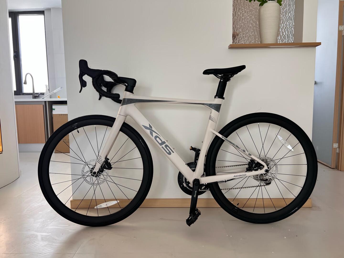 喜德盛的2025款AD300怎么样？保值率高吗？喜德盛的公路车值得入手吗？ - 知乎