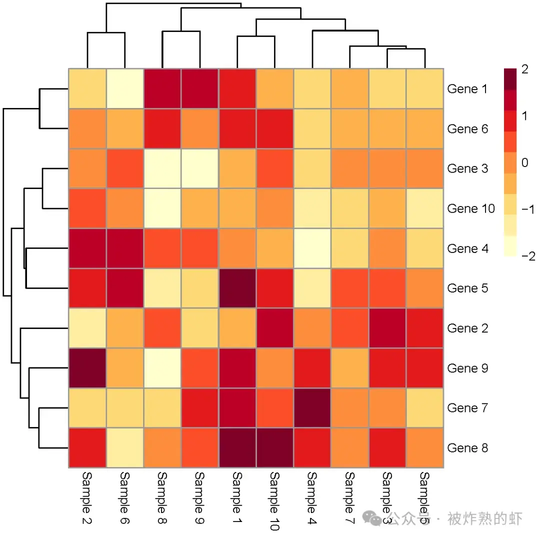 R语言画图 | 热图绘制之pheatmap - 知乎
