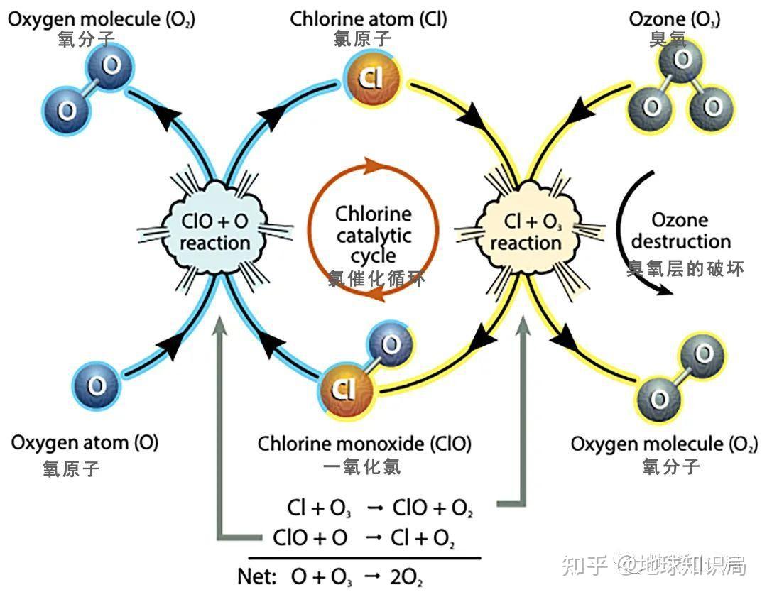联合国研究发现，臭氧层开始缓慢愈合，有望在四十年内修复，这对全球生态环境有哪些改善？ - 知乎