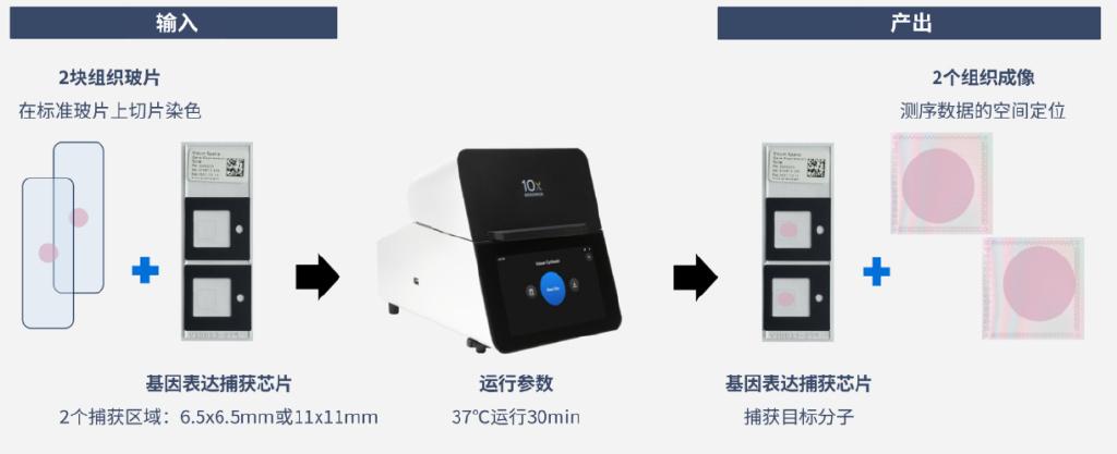 前沿技术 | Visium CytAssist服务，开启空间转录组测序2.0时代！ - 知乎