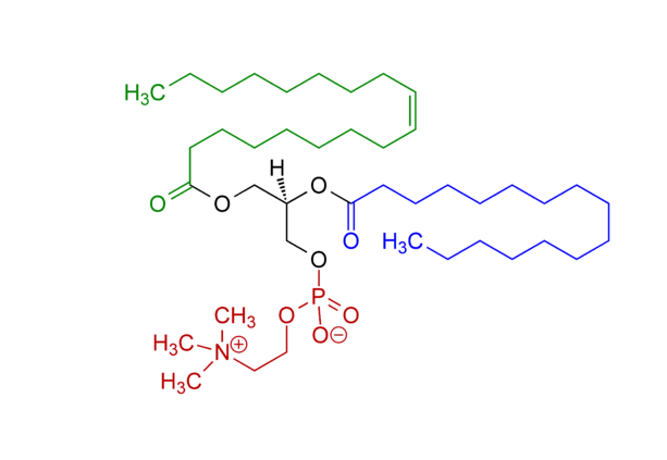 DMPC-PEG-FITC/ICG/RB/Comarin/Ce6/TRITC/普鲁士蓝 二肉豆蔻酰磷脂酰胆碱PEG荧光 - 知乎