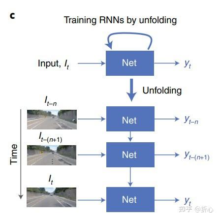 一些文章: Neural circuit policies enabling auditable autonomy - 知乎