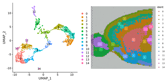 实用干货|Seurat-空间转录组数据基本分析教学 - 知乎