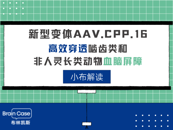 新型变体AAV.CPP.16 | 高效穿透啮齿类和非人灵长类动物血脑屏障！ - 知乎