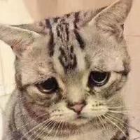 Vim/Neovim 主题插件 -- tokyonight.nvim - 知乎