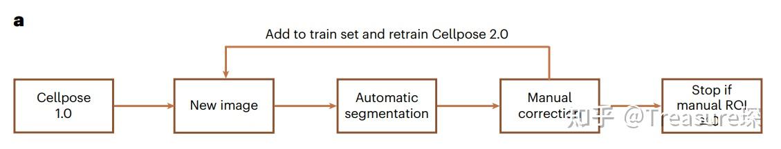 Cellpose 2.0——利用自己的数据训练模型 - 知乎