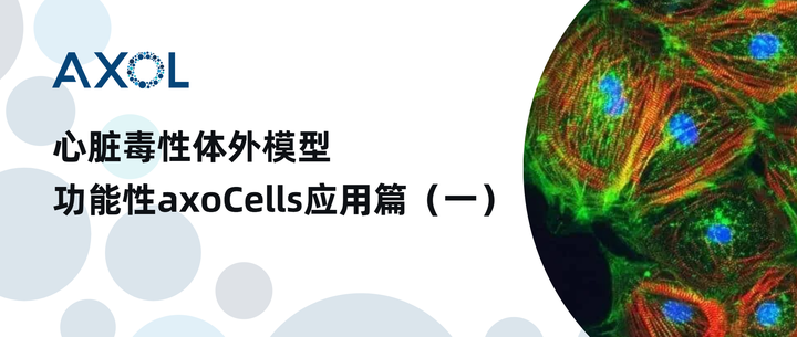 心脏毒性体外模型：功能性axoCells应用篇（一）_曼博生物代理 - 知乎