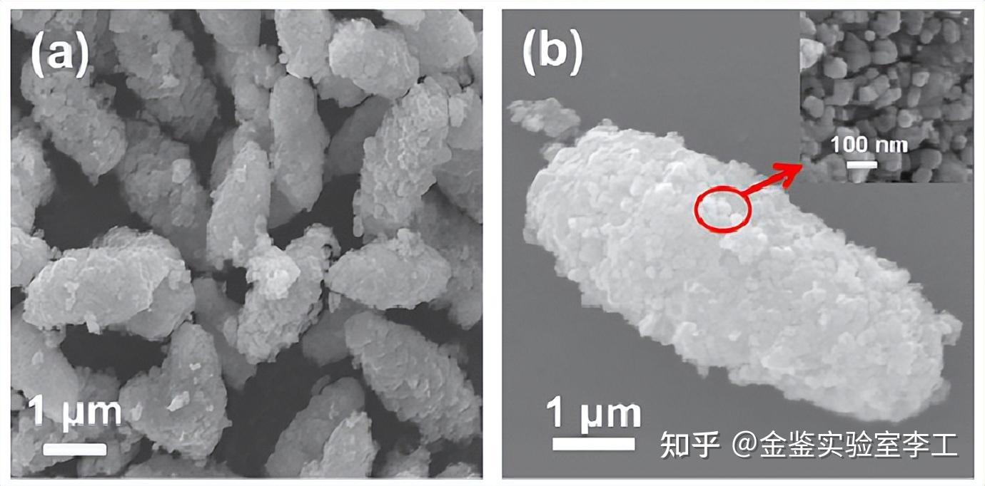 超全SEM测试制样攻略 - 知乎
