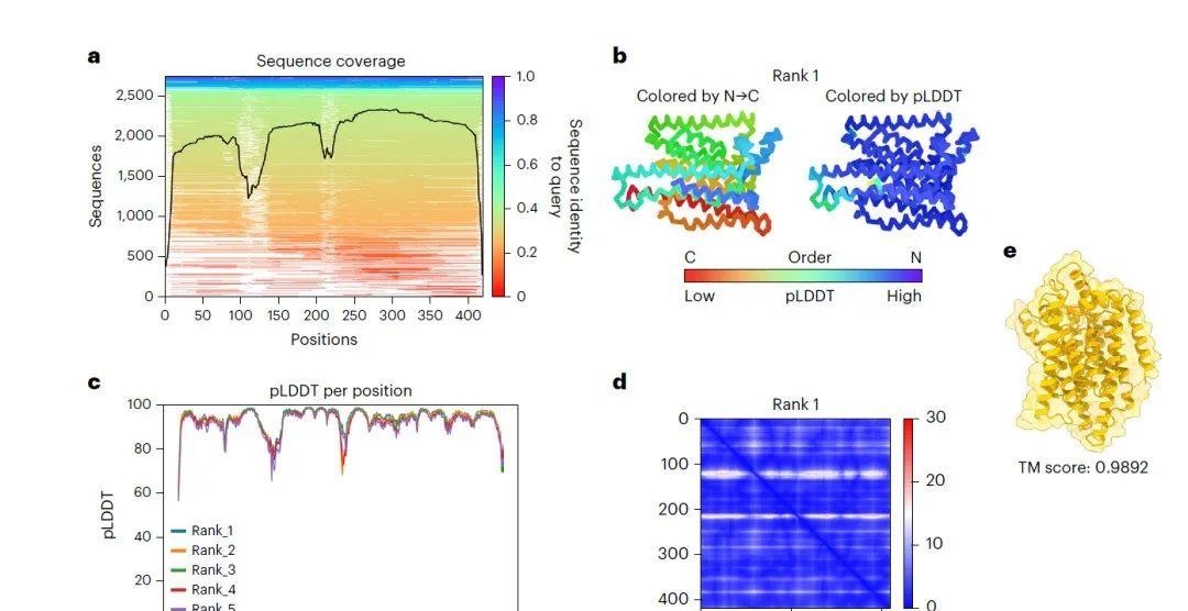 NatProtoc最新| ColabFold：让蛋白质结构预测触手可及 - 知乎