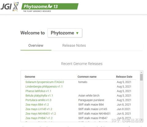 玉米转录组数据分析，如何下载玉米参考基因组信息? - 知乎
