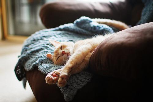 关于std::array，必备武器库 - 知乎