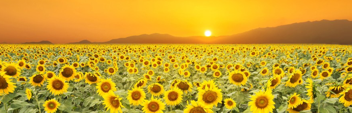 theano-win10下快速安装 - 知乎