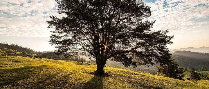 小米集团基于Apache Doris的OLAP实践 - 知乎