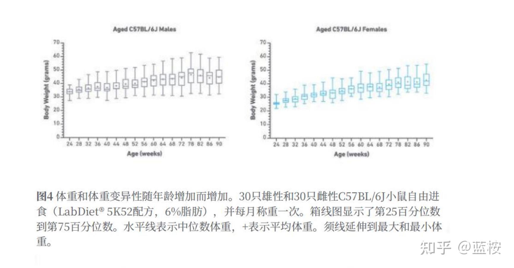 用于研究的老龄 C57BL/6J 小鼠—JAX - 知乎