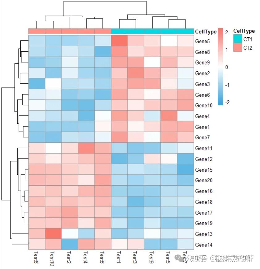 R语言画图 | ggheatmap绘制热图及个性化修饰 - 知乎