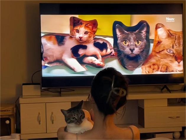 电视选购：65寸电视选哪个？创维GLED高音画电视A5D深度测评 - 知乎