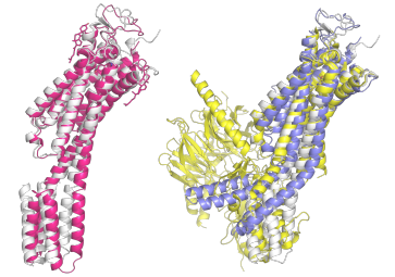NeuralPLexer——蛋白质-配体复合物结构预测的多尺度深度生成模型 - 知乎