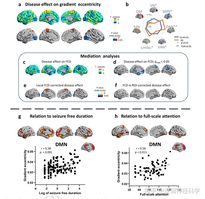 Commun Biol︱南方医科大学张其锐/李娇等发现Rolandic癫痫的非典型脑网络梯度层级发育 - 知乎