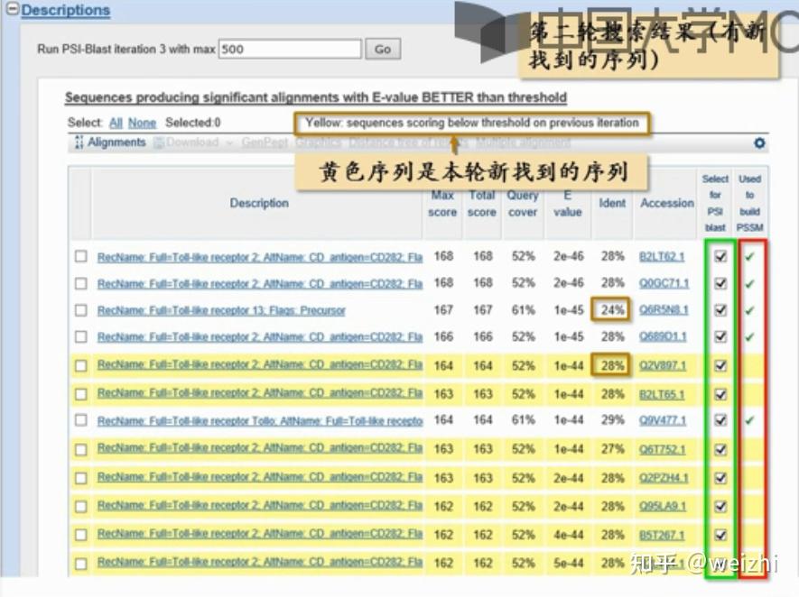山东大学生物信息学学习笔记4—BLAST - 知乎