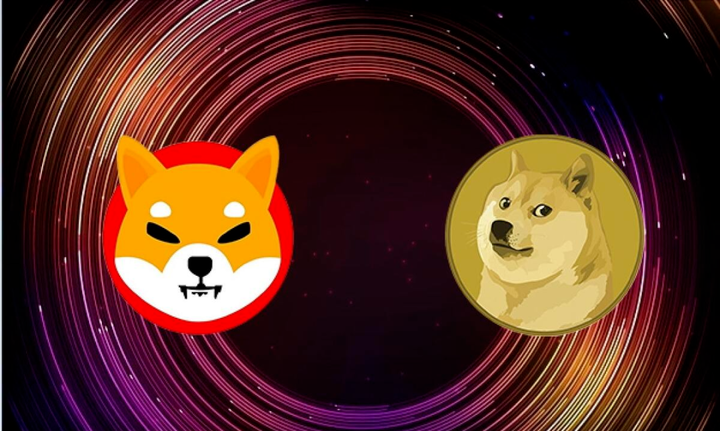 DOGE vs SHIB：下一次牛市中哪个 Memecoin 会更成功？ - 知乎