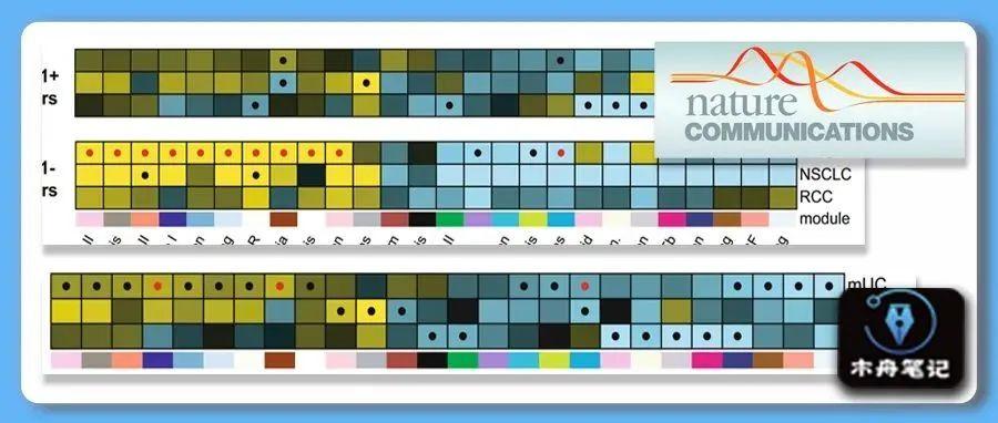 跟着 Nature Communication 学作图 | 热图+格子注释(通路富集相关) - 知乎