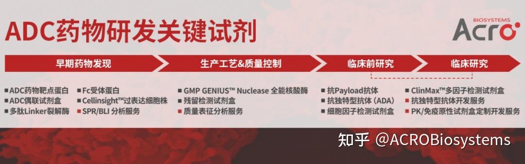 从“小众”到“明星”：CDH家族解锁ADC单抗、双抗及CAR-T多种疗法 - 知乎