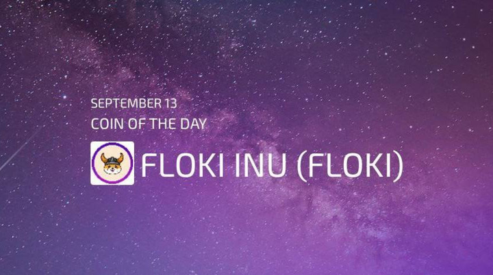 什么是 Floki Inu (FLOKI)？你想知道的关于FLOKI的一切！ - 知乎