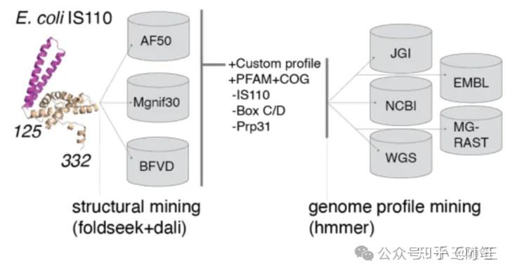 张锋发现新RNA引导系统TIGR-Tas：挖掘详述 - 知乎